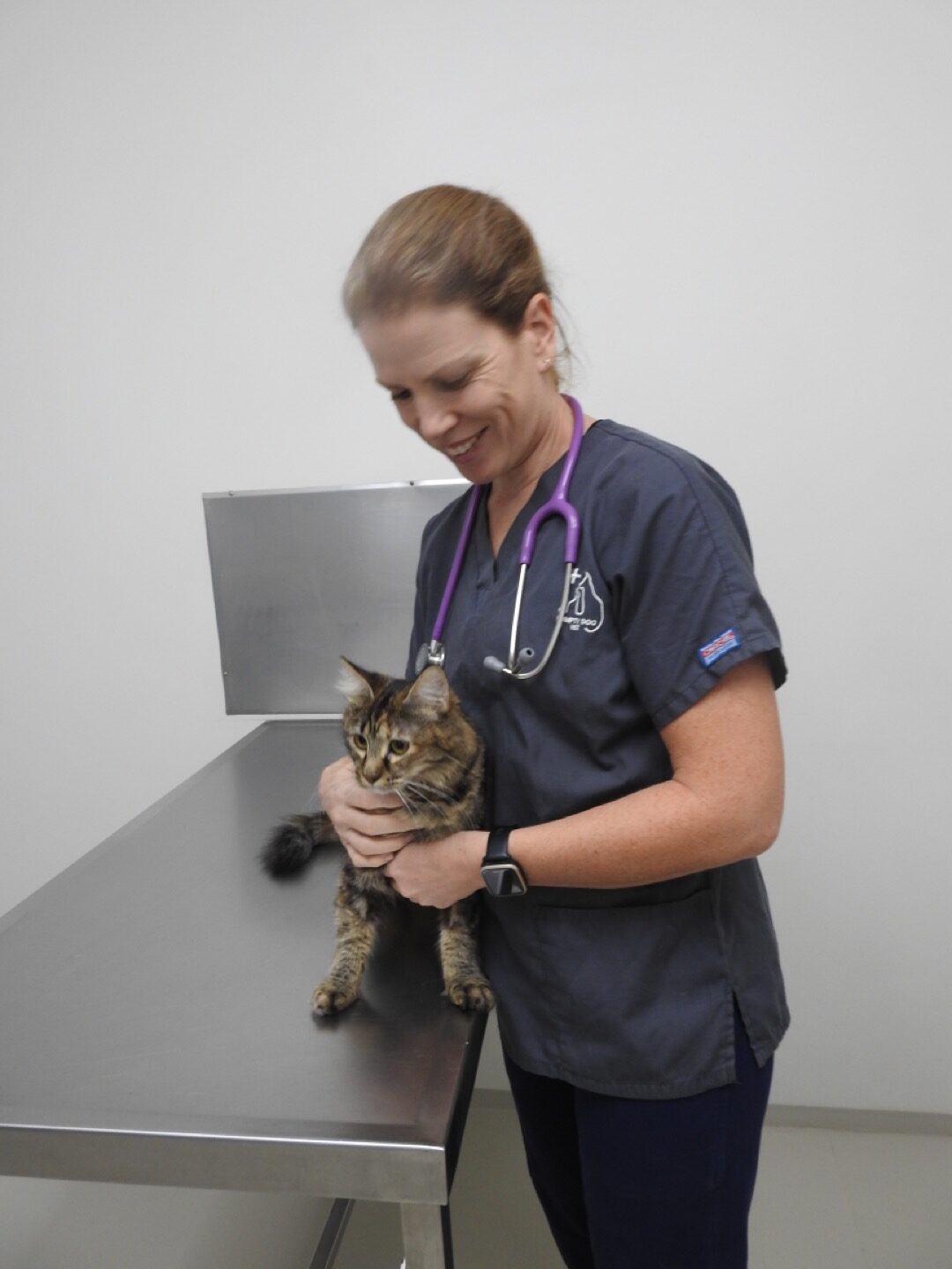 Ophthalmology - Humpty Doo Vet Hospital