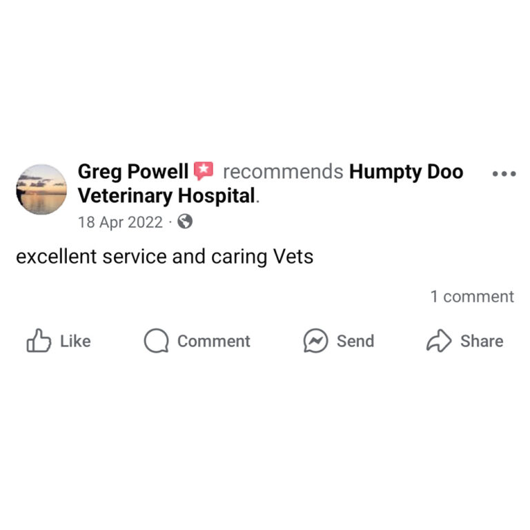 Home - Humpty Doo Vet Hospital